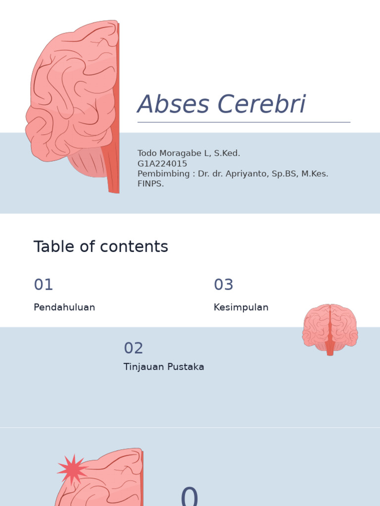 BST Abses Cerebri | PDF