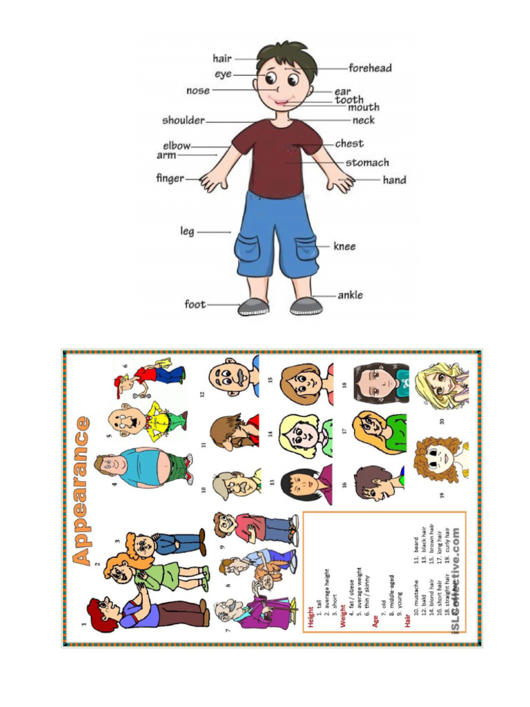 Vocabulary Body Parts, Physical Desc, Moods, Routines, Food and Drinks ...