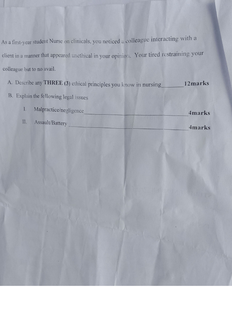 Professional Adjustment in Nursing | PDF