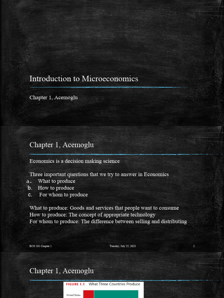 Acemoglu Chapter 1 (ECO 101) | PDF | Economics | Macroeconomics
