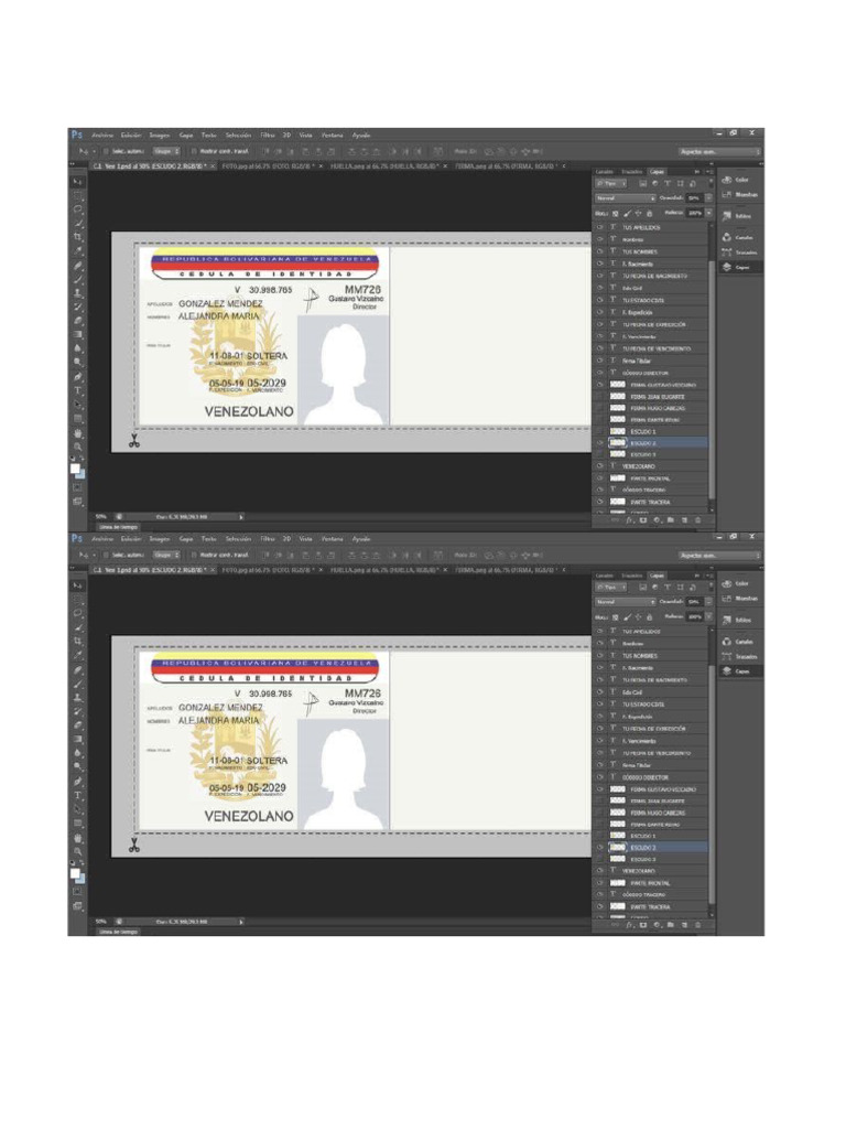 DFU | PDF | Licencia de conducir | Transporte