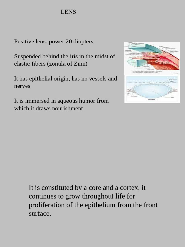 Lens | PDF | Wellness | Science & Mathematics