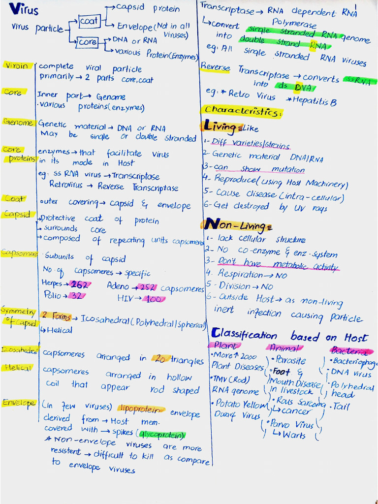 Biology Sample (Premium) | PDF