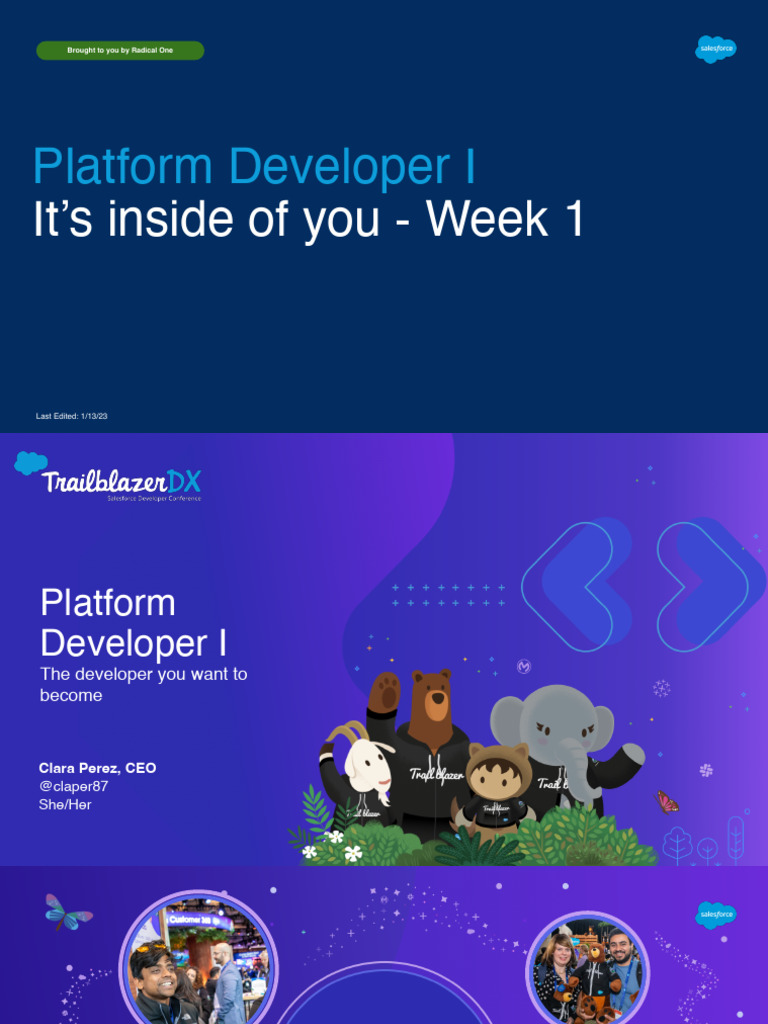 Salesforcce - Diapositivas - Platform Developer Week 1 | PDF ...
