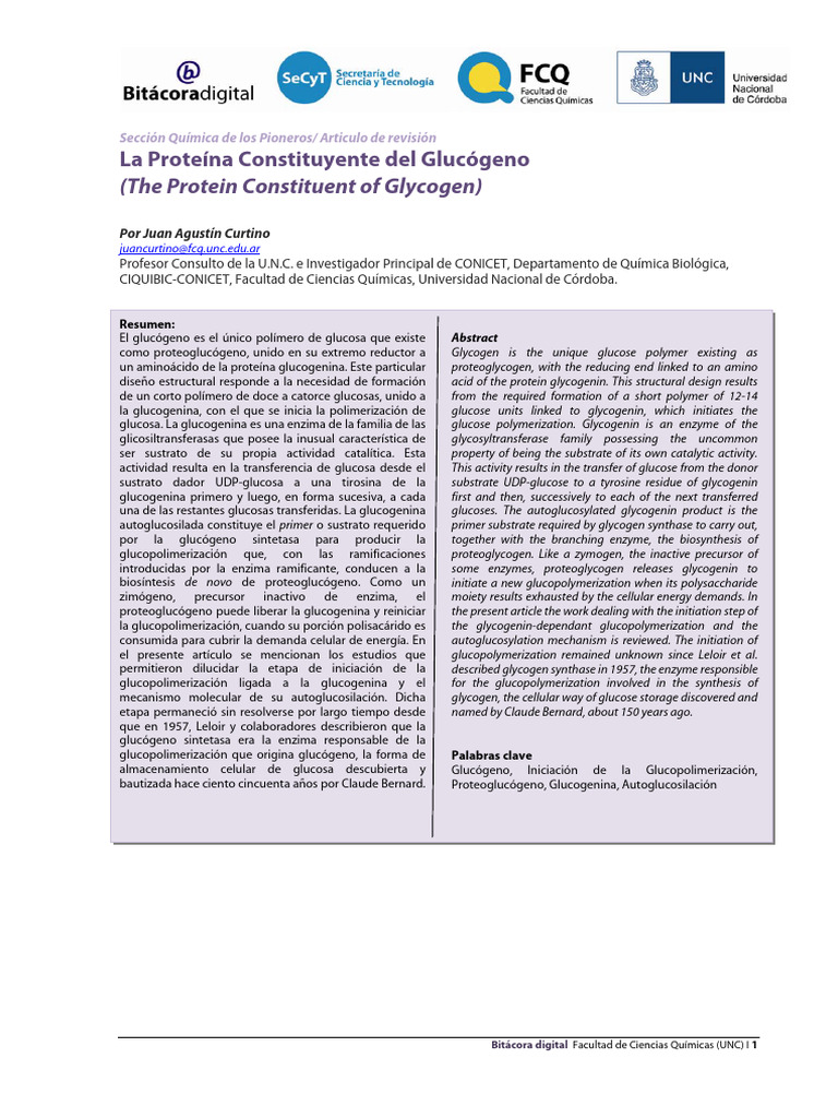 Glucogenina: Clave en la Glucopolimerización | PDF | Proteínas | Glucógeno