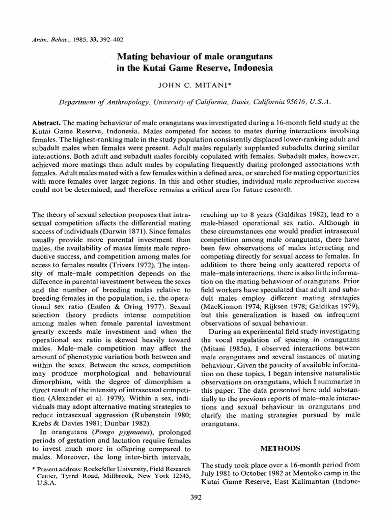 Male Orangutan Mating Behavior Study | PDF | Orangutan | Sexual Selection