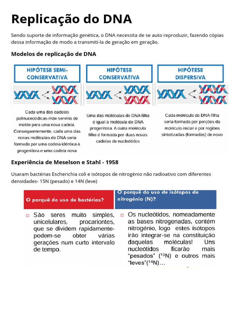Replicação DNA | PDF
