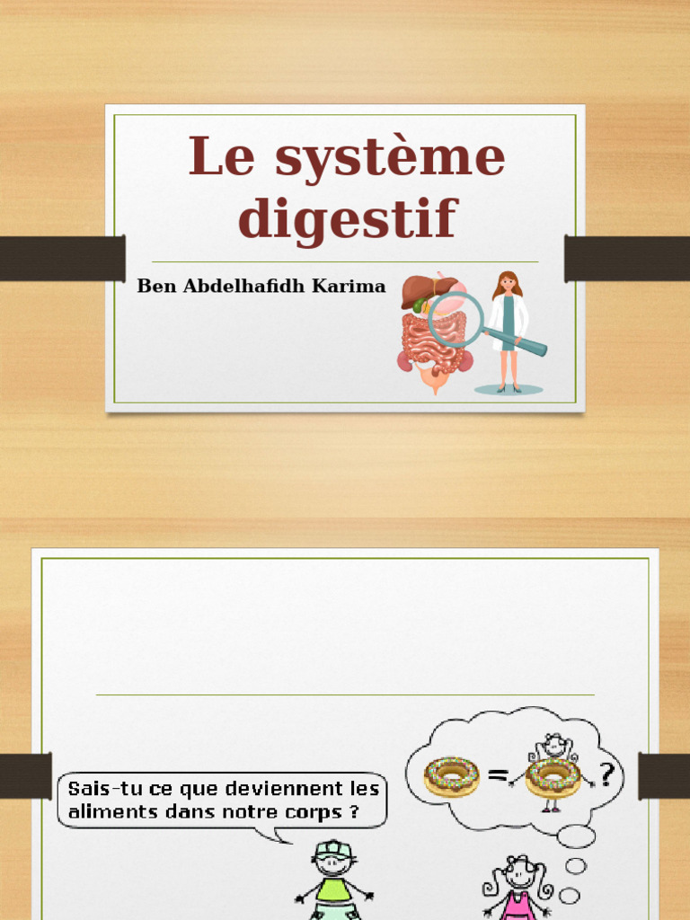 Comprendre le système digestif humain | PDF | Appareil digestif humain ...