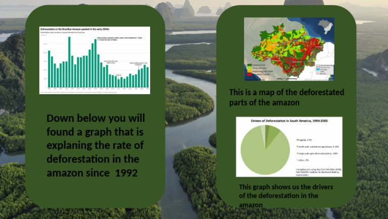 Brochure Amazon | PDF