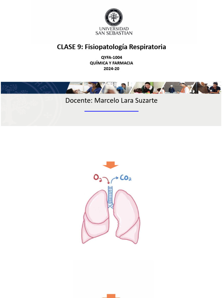 Clase 9 | PDF | Sistema respiratorio | Pulmón