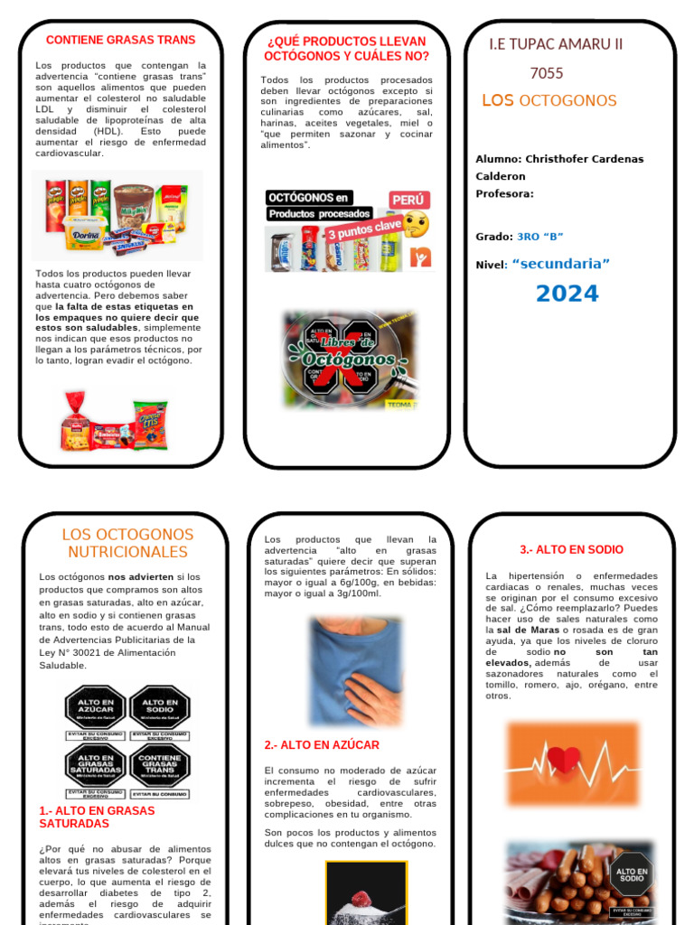 Triptico San Jose Marello LOS OCTOGONOS NUTRICIONALES | PDF | gordo ...