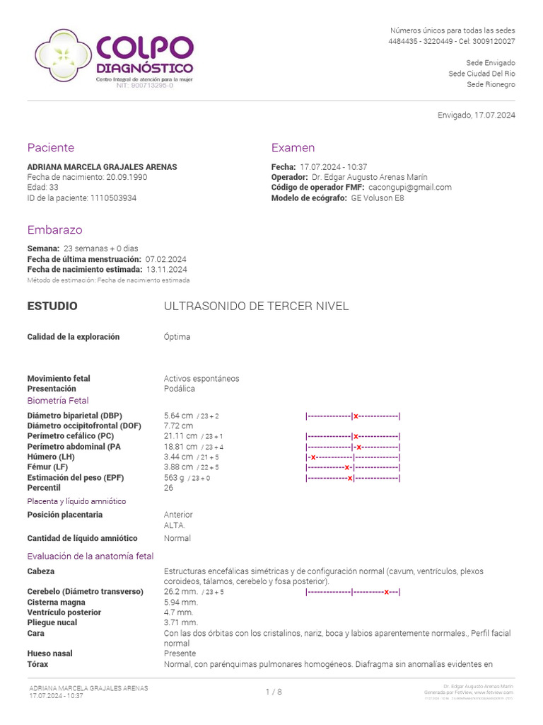 2024-07-17 (1) Archivo Prueba | PDF | Corazón | Abdomen