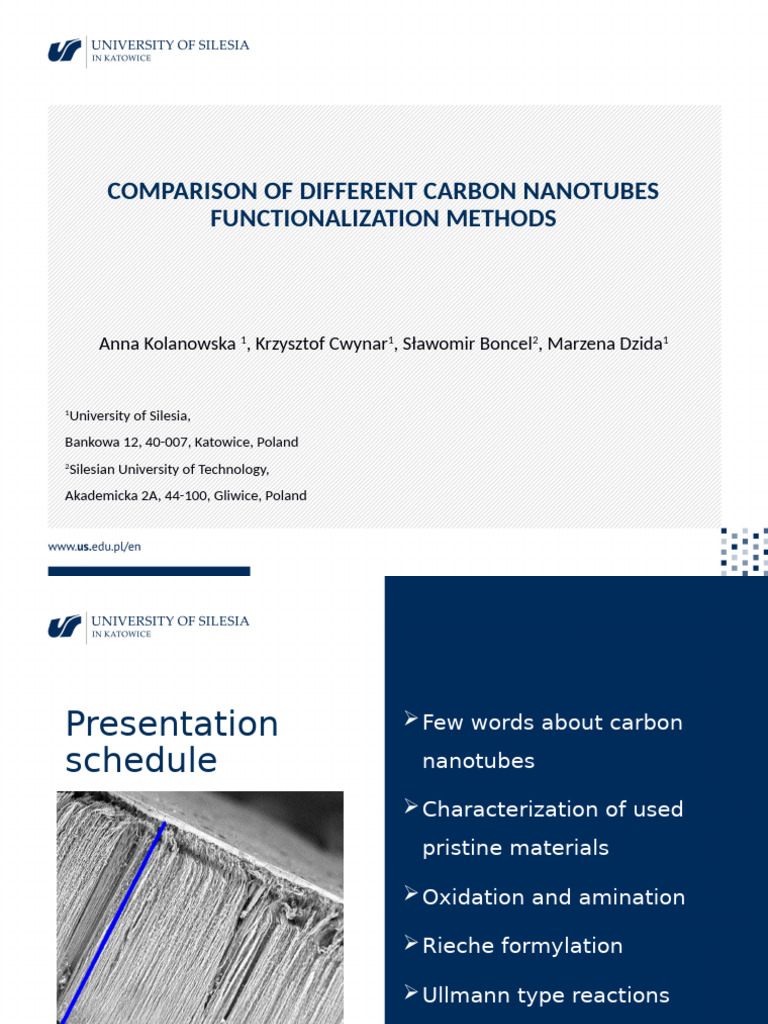 Prezentacja 1 | PDF | Carbon Nanotube | Nanotechnology