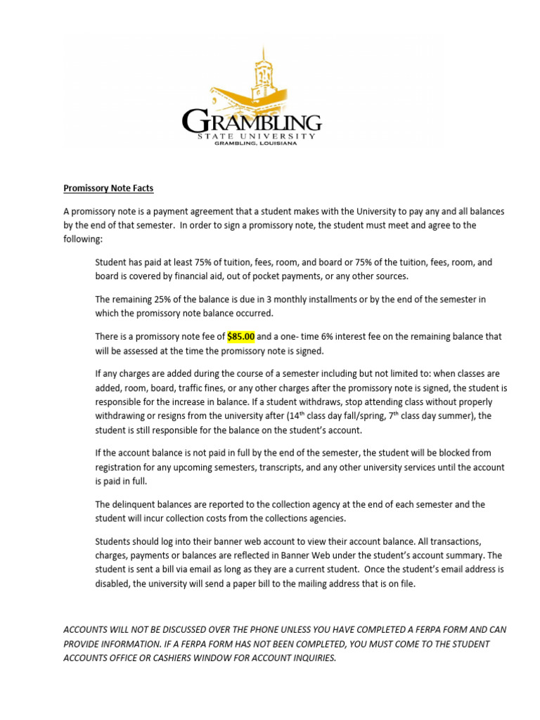 Promissory Note Facts | PDF