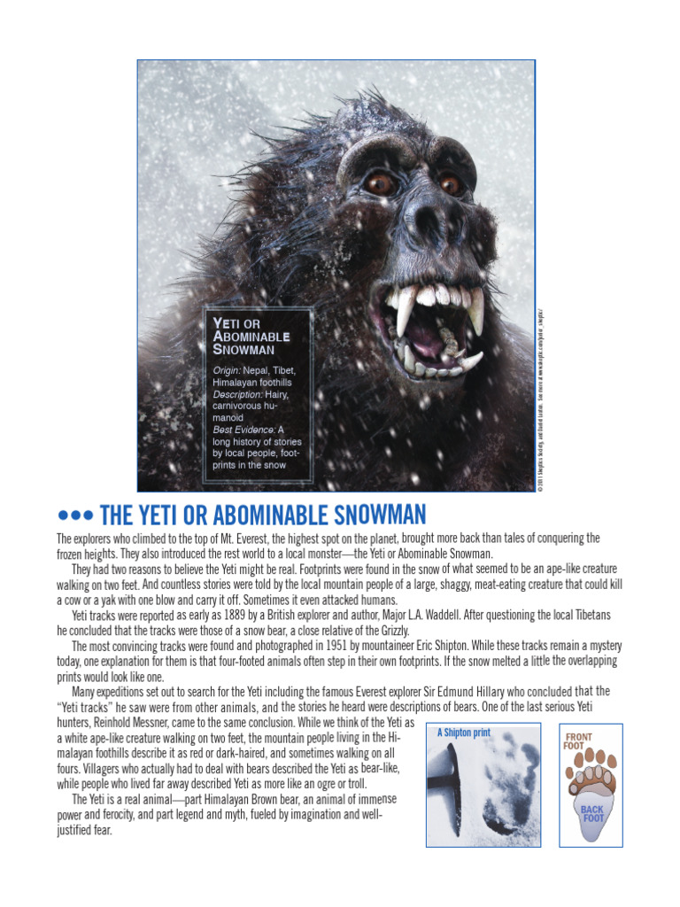 5 Cryptids 2011 Print Res | PDF | Yeti | Bigfoot