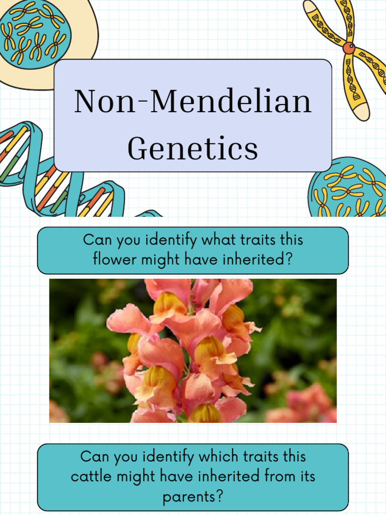 Non-Mendelian Genetics | PDF | Dominance (Genetics) | Allele