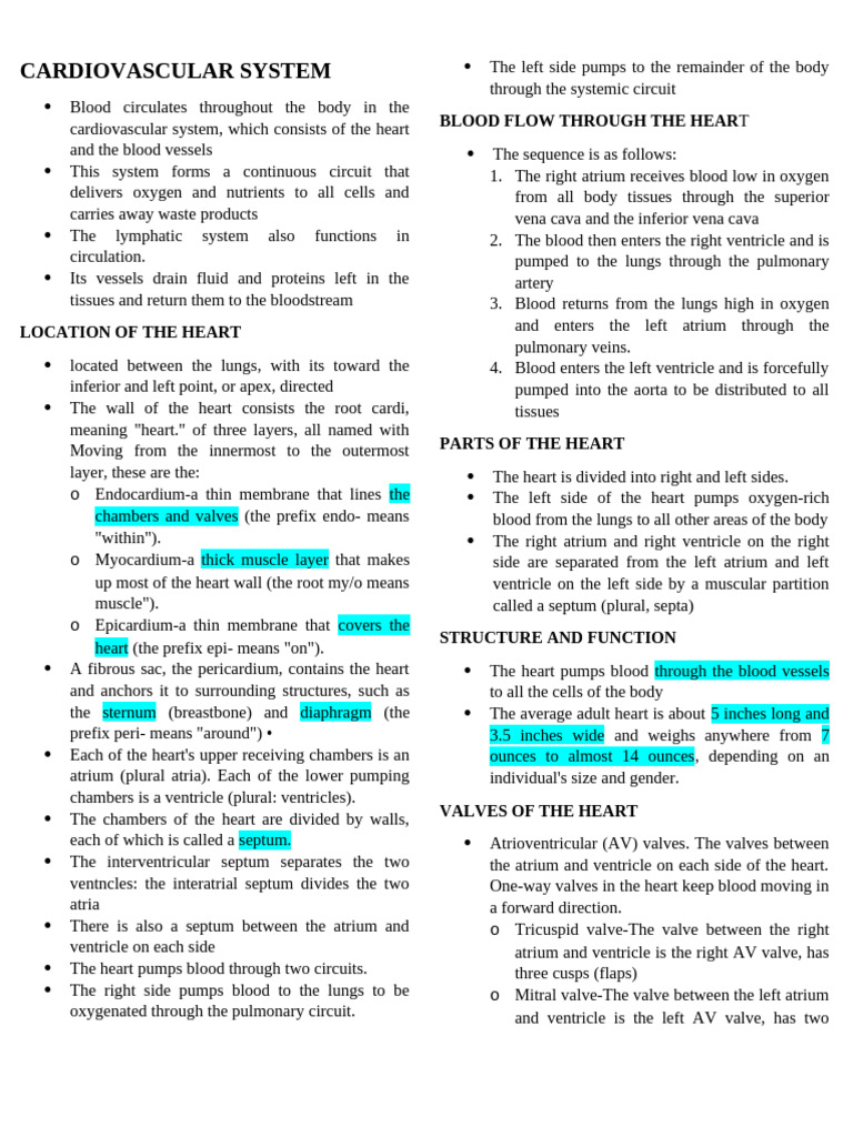 CARDIOVASCULAR SYSTEM Medterm Notes | PDF | Heart | Heart Valve