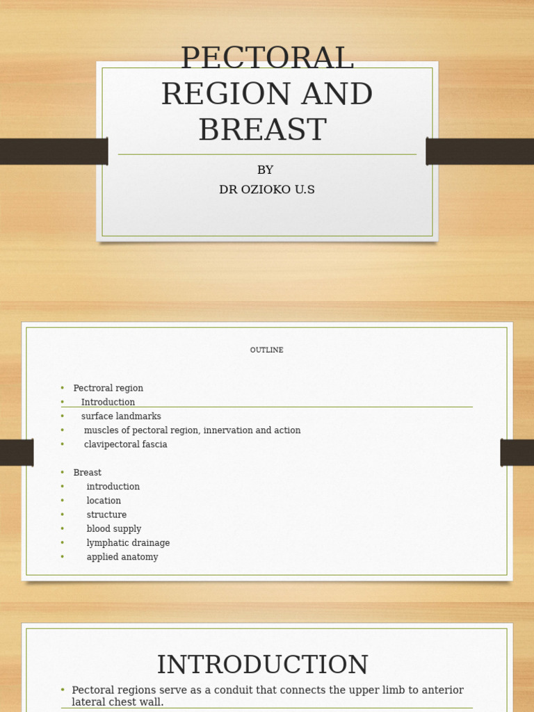 Pectoral Region and Mammary Gland 2ND MB Class Lecture | PDF | Breast ...