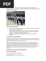 Municipios y Regiones SEV | PDF