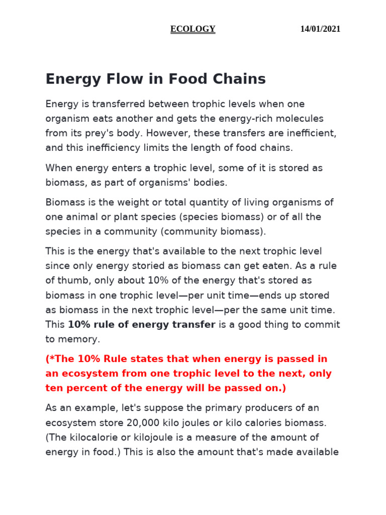 Energy Transfer in Food Chains Explained | PDF | Food Web | Decomposition