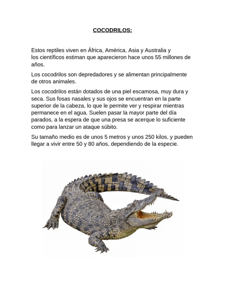 COCODRILOS | PDF | Viajes y turismo | Hogar, jardinería y bricolaje