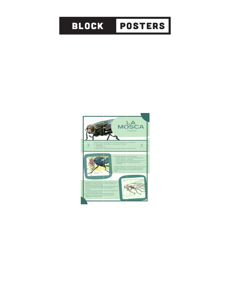 Blockposter 230250 | PDF | Career & Growth | Art