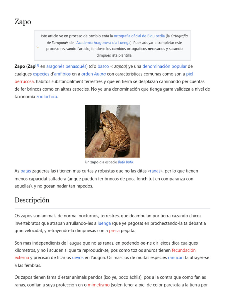 Características del Zapo en Aragón | PDF