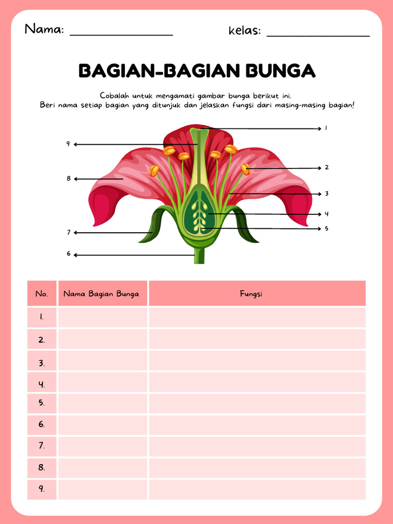 Lembar Kerja IPA Bagian Bunga Merah Ilustratif | PDF