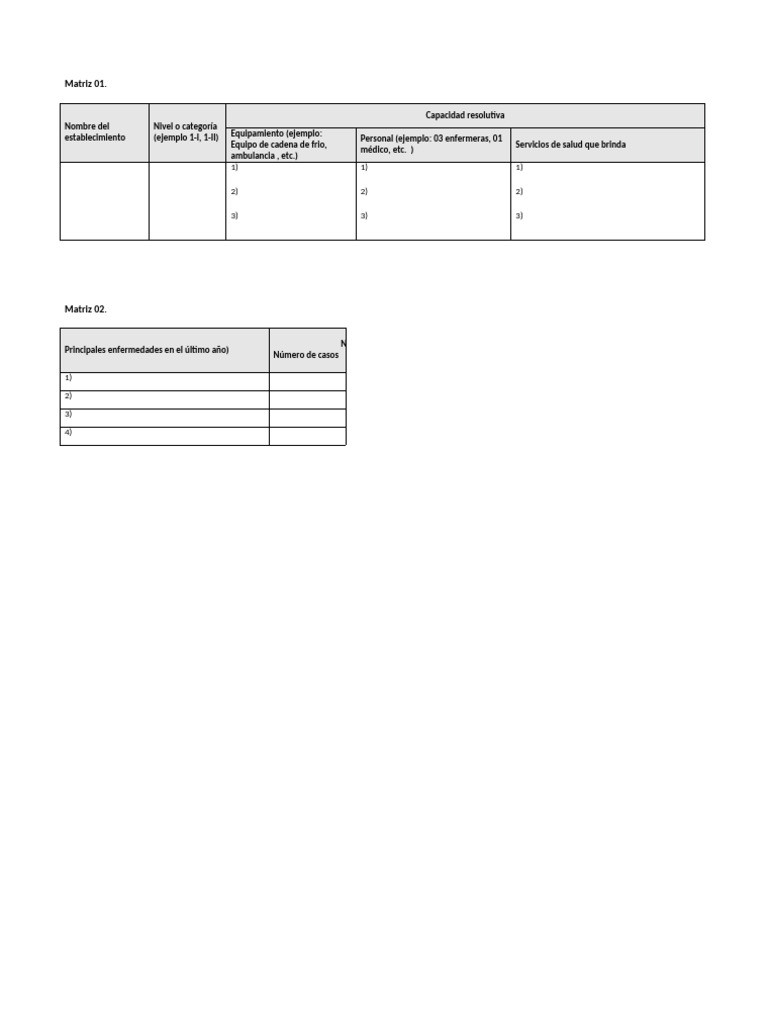 Formato para Ingresar Reporte de Datos de Salud - San Martin | PDF