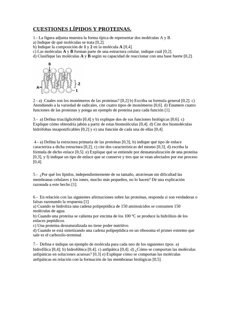 Cuestiones Lípidos y Proteinas | PDF