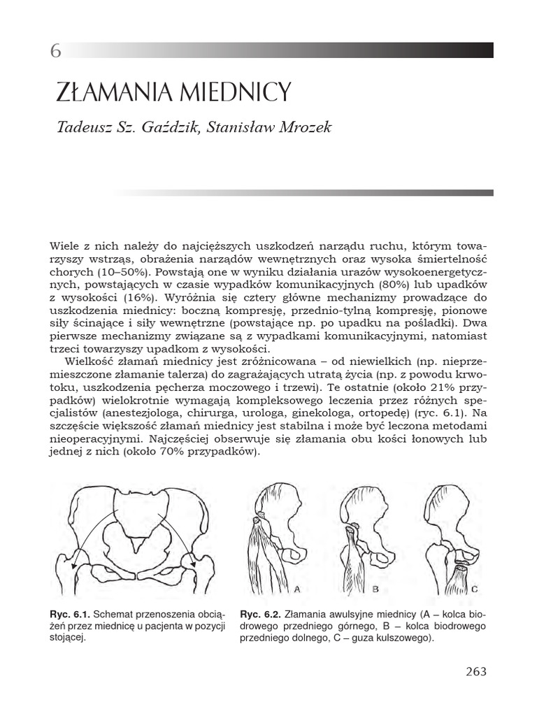 Miednica | PDF