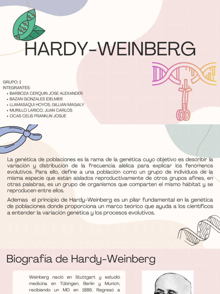 Hardy Weinberg | PDF