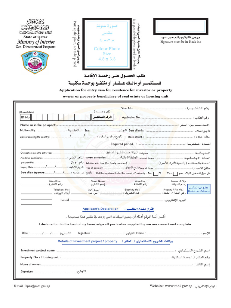 Chisu Sabotage Investment Application | PDF | Passport | Travel Visa