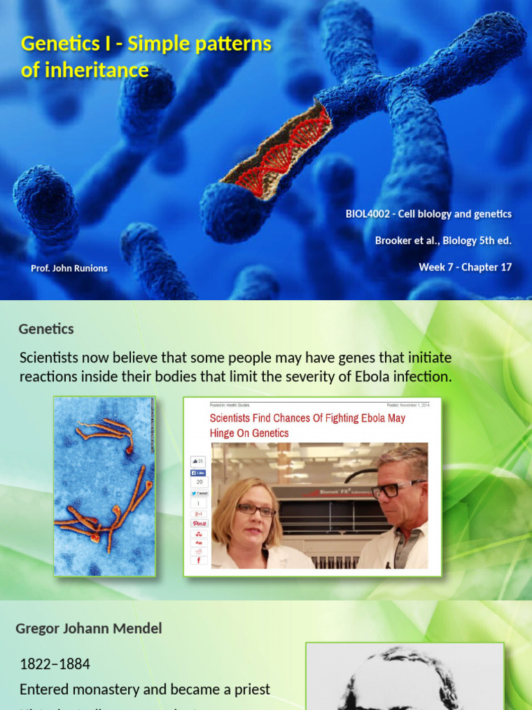 S1W7 - Genetics I - Simple Patterns of Inheritance Lecture | PDF ...