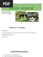 Espermatófitas | PDF | Plantas | Botânica
