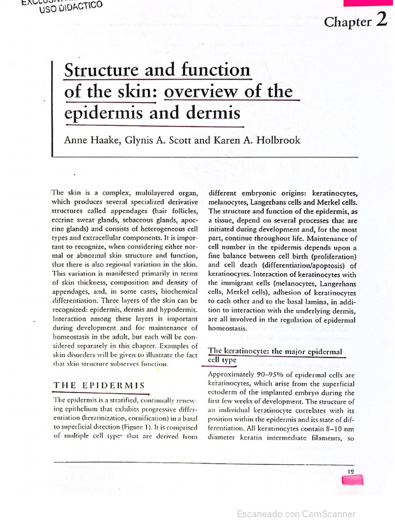 Biology of The Skin Cap 2 | PDF