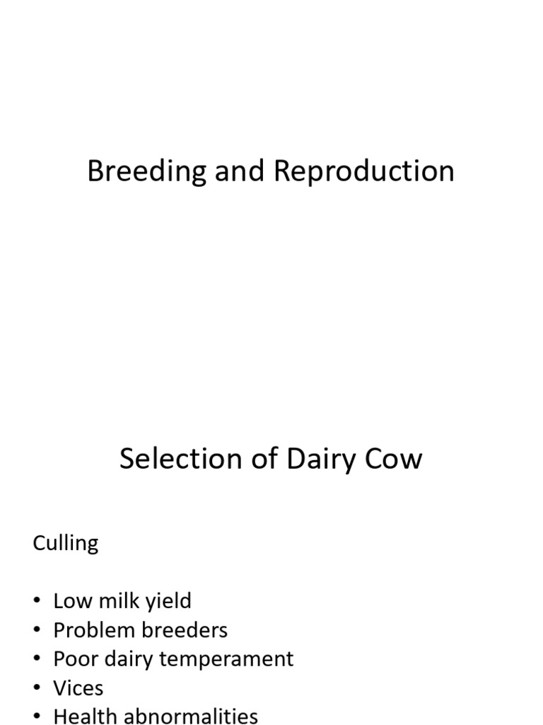 Dairy Cattle Breeding and Reproduction | PDF