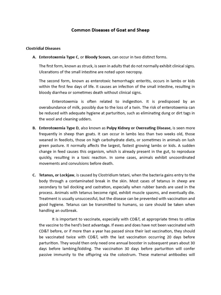 Common Diseases of Goat and Sheep | PDF | Sheep | Medical Specialties