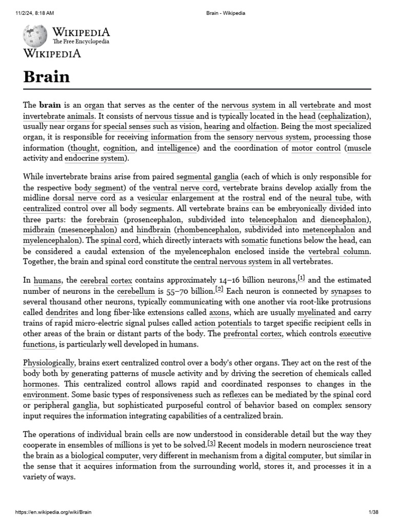 Brain - Wikipedia | PDF | Brain | Cerebrum
