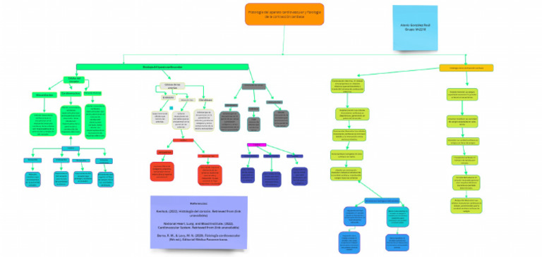 Mapa Cardiología | PDF