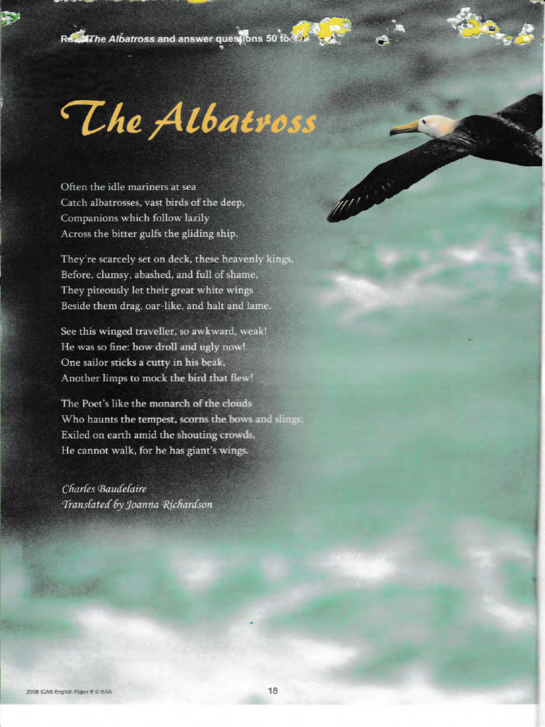 The Albatross - A Poem: ICAS English E | PDF | Poetry | Birds