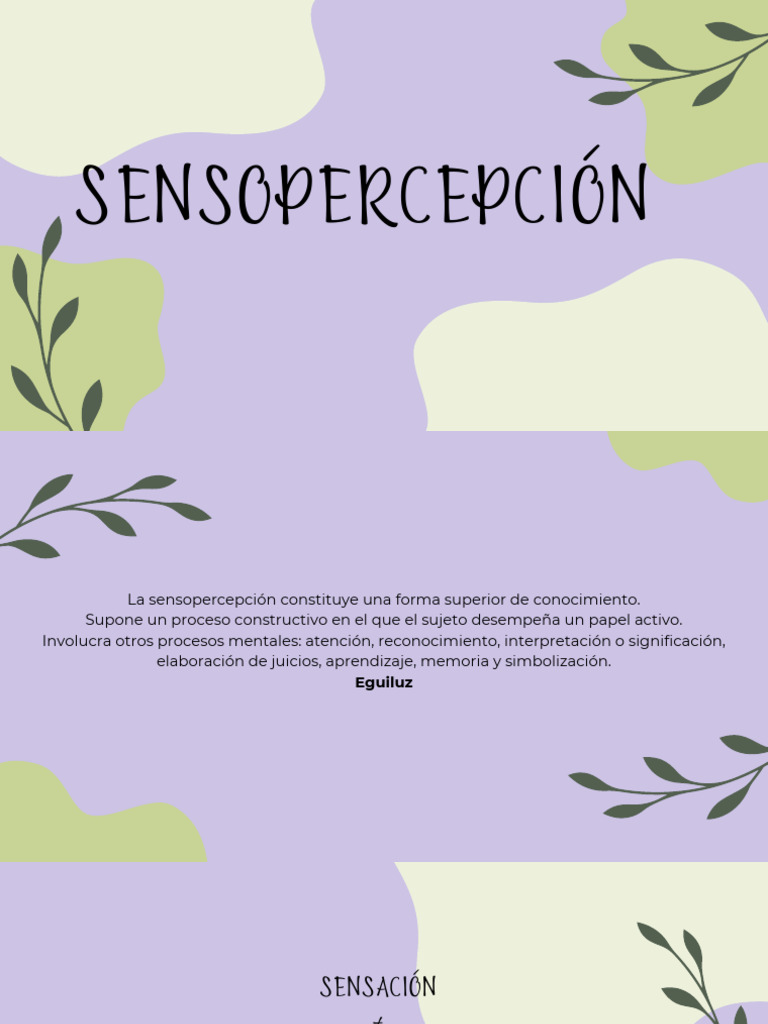 Sensopercepción 2024 | PDF | Percepción | Alucinación