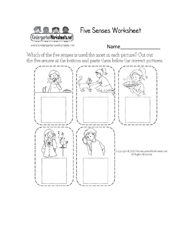 Worksheet of Senses | PDF