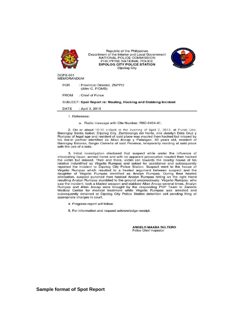 Sample Report Form | PDF | Memorandum | Government