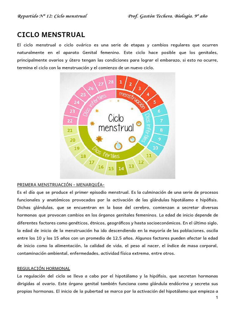 REPARTIDO 12 TEÓRICO Ciclo Menstrual | PDF | Ciclo menstrual | Ovario