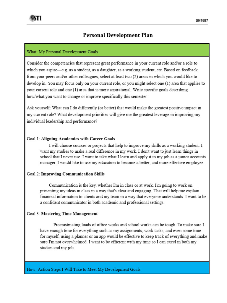 Medina Development Plan | PDF | Goal | Mentorship
