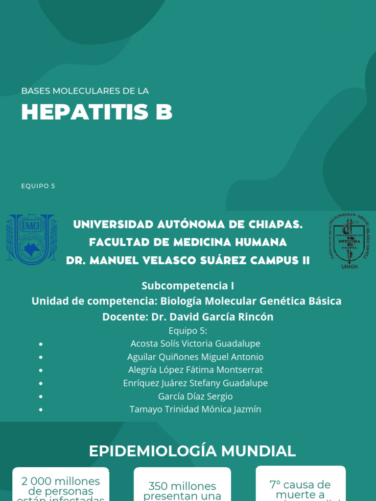 Hepatitis B | PDF | Virus | Hepatitis B