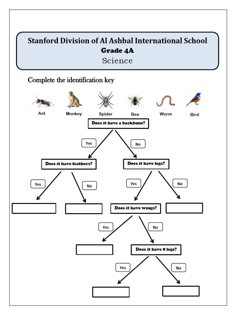 Holiday Homework - Science 4A | PDF