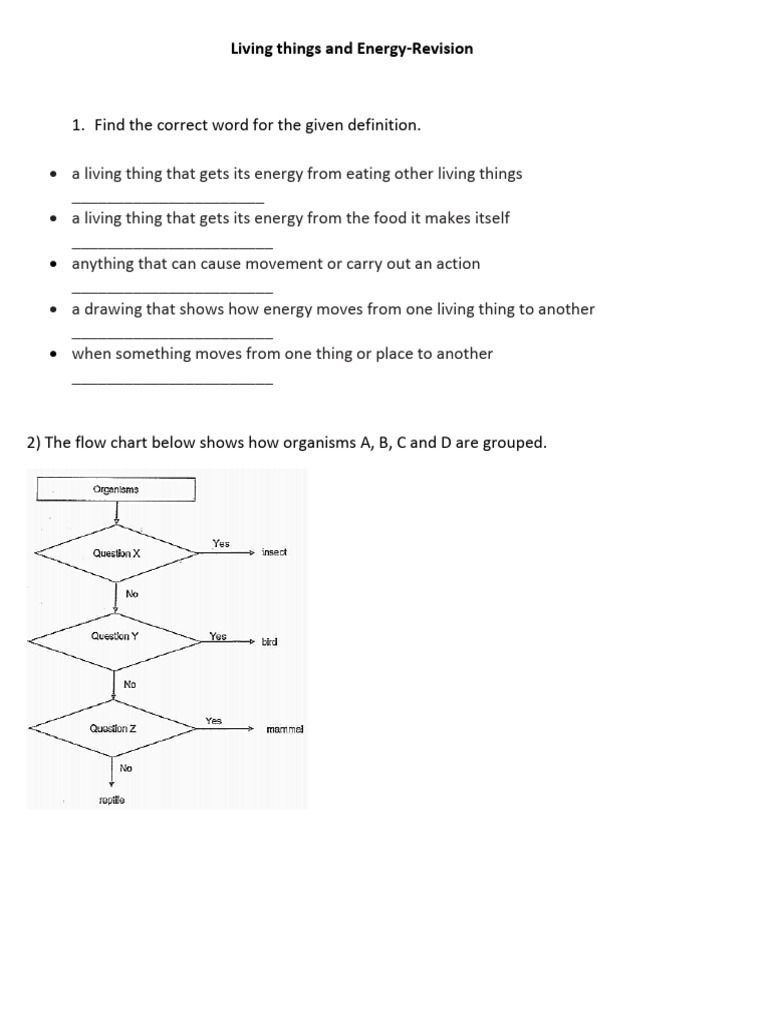 Living Things and Energy-Revision | PDF | Predation