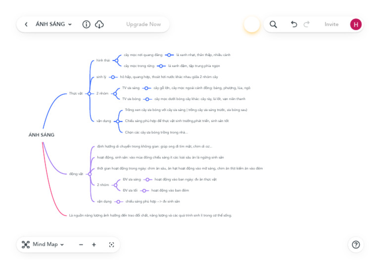 ÁNH SÁNG - MindMeister Mind Map | PDF